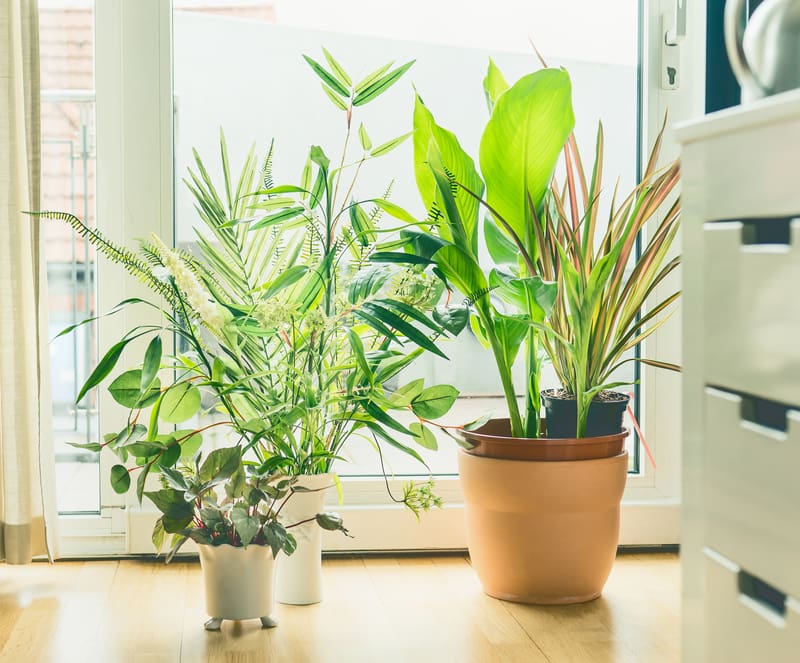 Low Humidity Is Low Humidity In The House Harmful 
